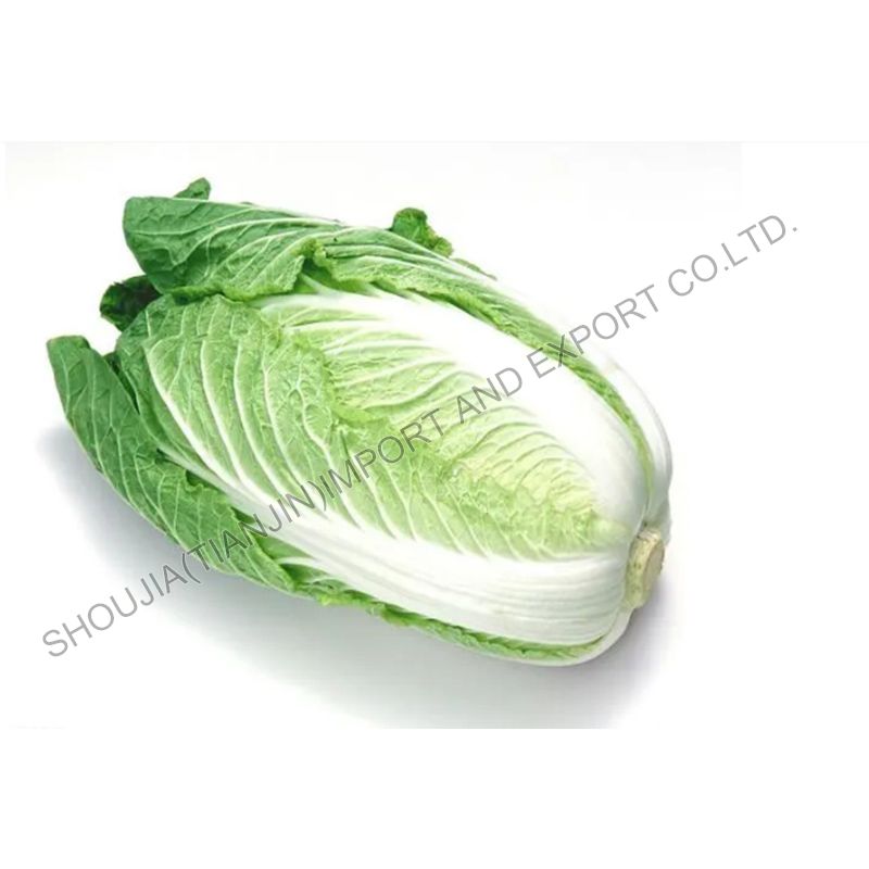 Fresh Chinese cabbage