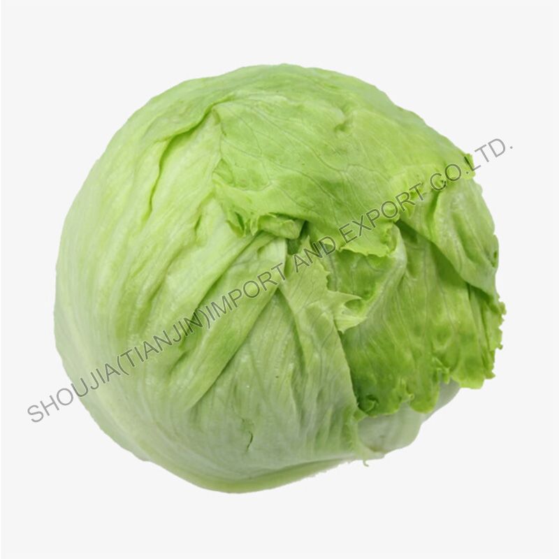 Fresh Lettuce