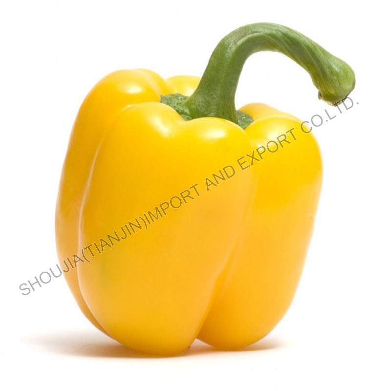 Fresh Yellow Pepper