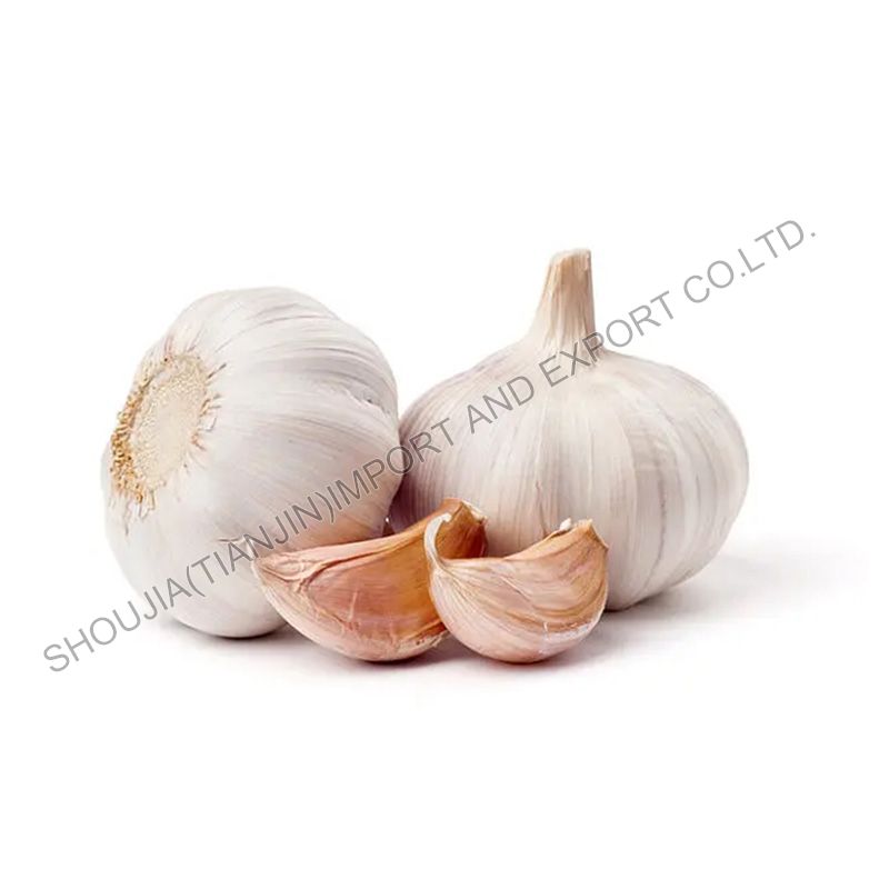 Fresh garlic
