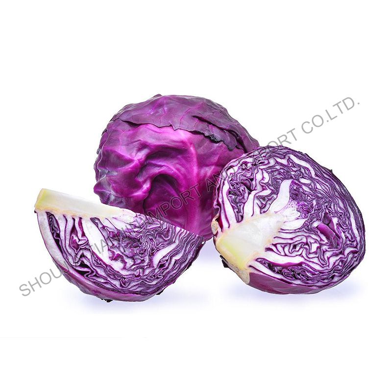 Fresh purple cabbage