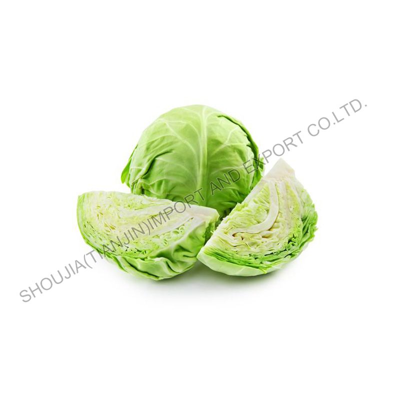 Fresh peking cabbage