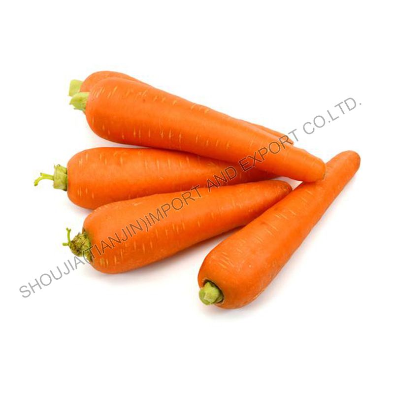 Fresh carrot