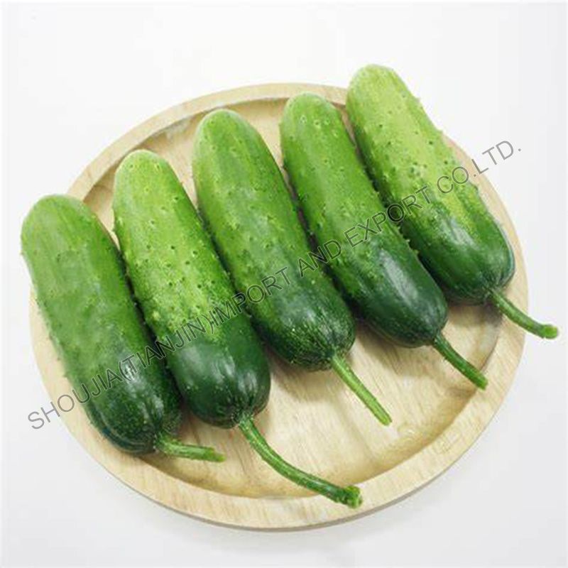 Fresh cucumber