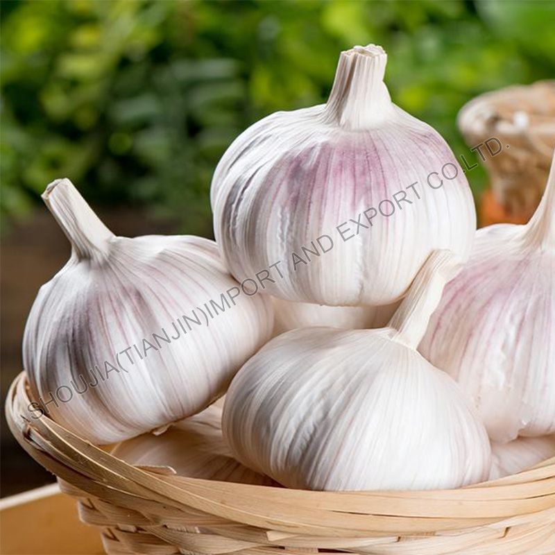 Fresh garlic