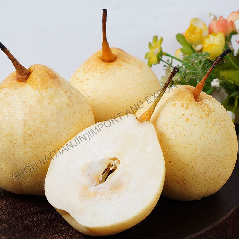 Fresh He bei Ya Pear