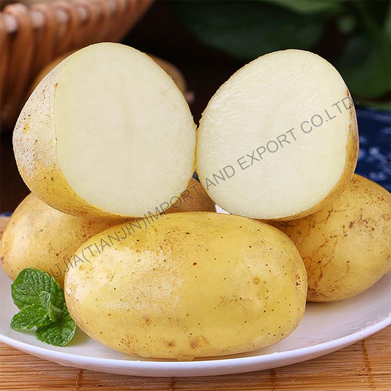 Fresh Potato