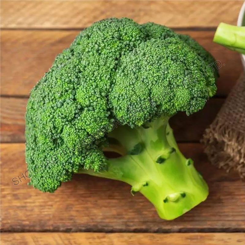 Fresh broccoli