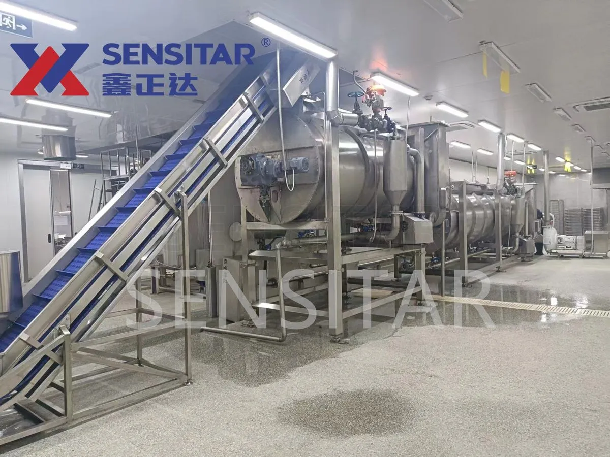 French Fries, French Fries Processing, Line, French Fries Equipment