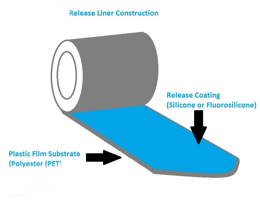 PET Release Liner Exporter