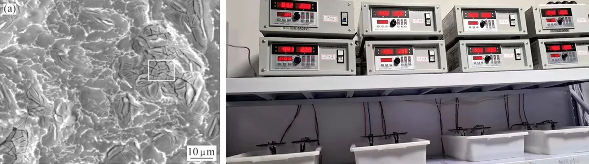 Iridium Oxide Coated Titanium Anode