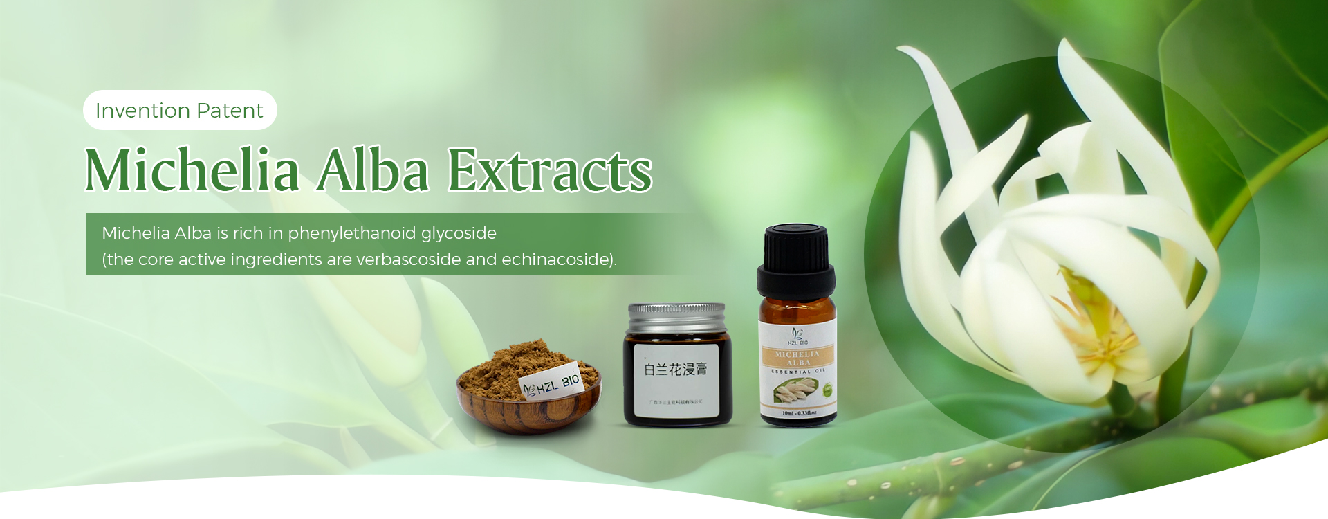 Natural Herb Plant Extracts Factory | HZL Biotech