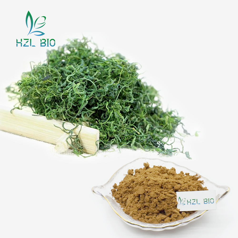 Gynostemma Pentaphyllum Extract