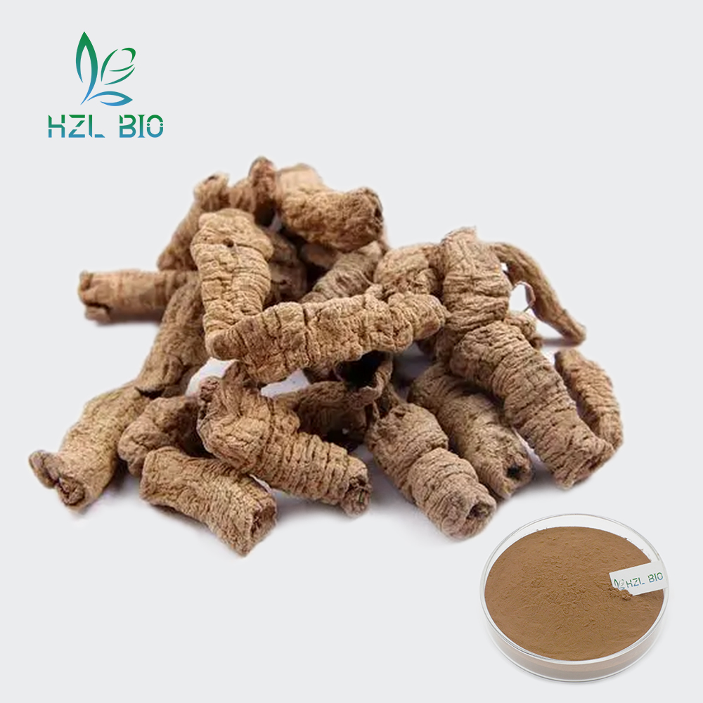 Morinda Officinalis Extract Powder, Morinda Root Extract Powder