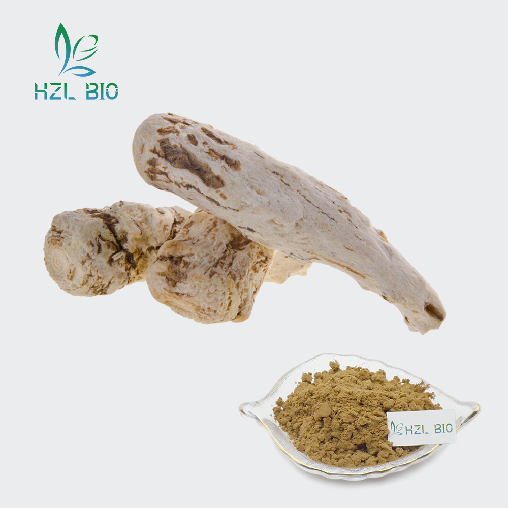 Angelica Sinensis Extract 10:1,angelica sinensis root extract