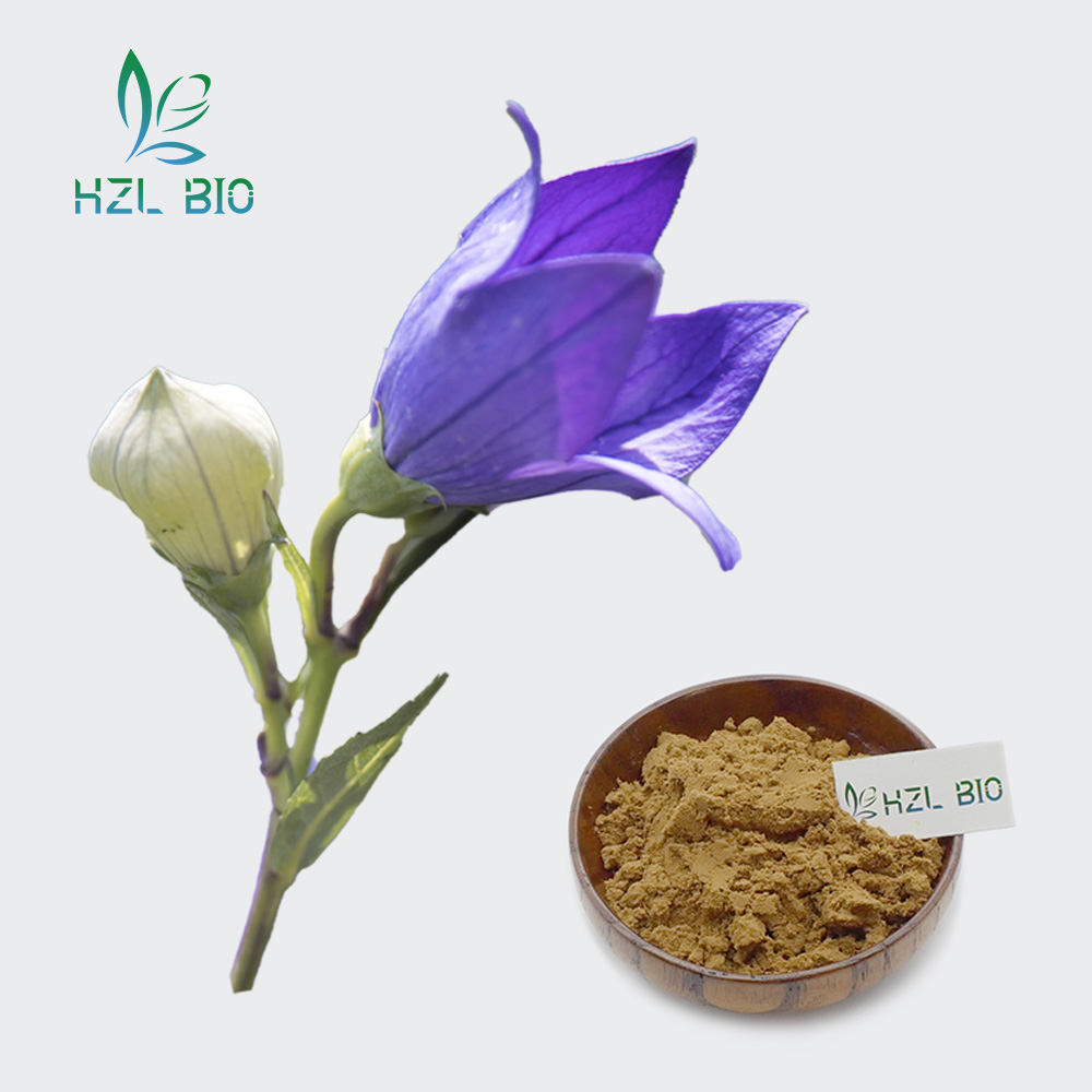 Platycodon Grandiflorum Platycodon Grandiflorum Extract