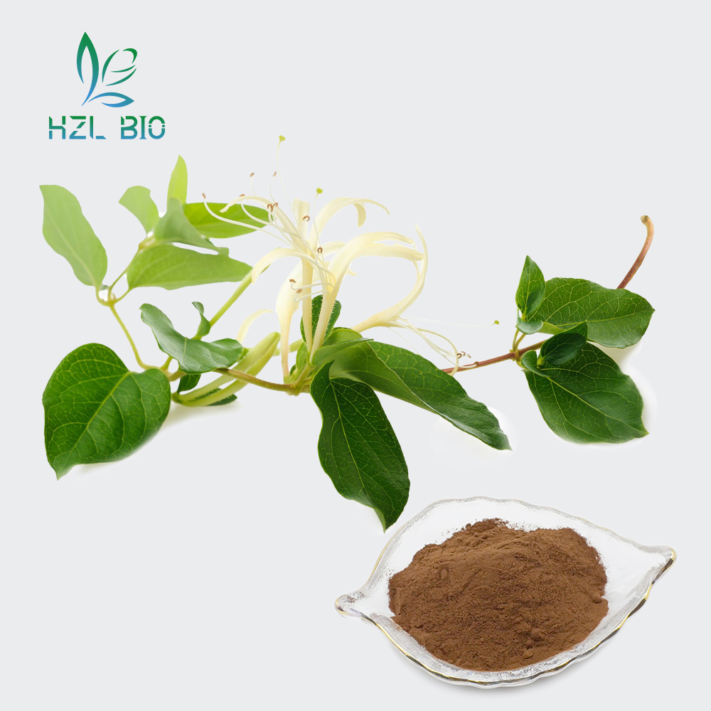 honeysuckle flower extract,honeysuckle extract