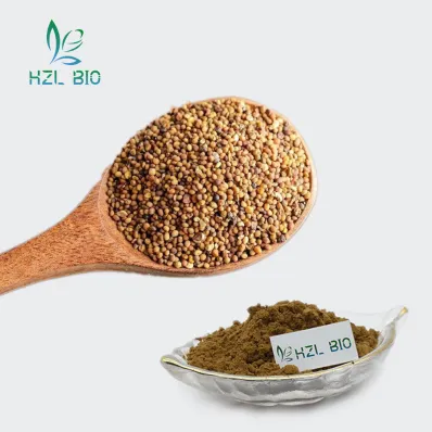 dodder seed extract,cuscuta extract,dodder extract