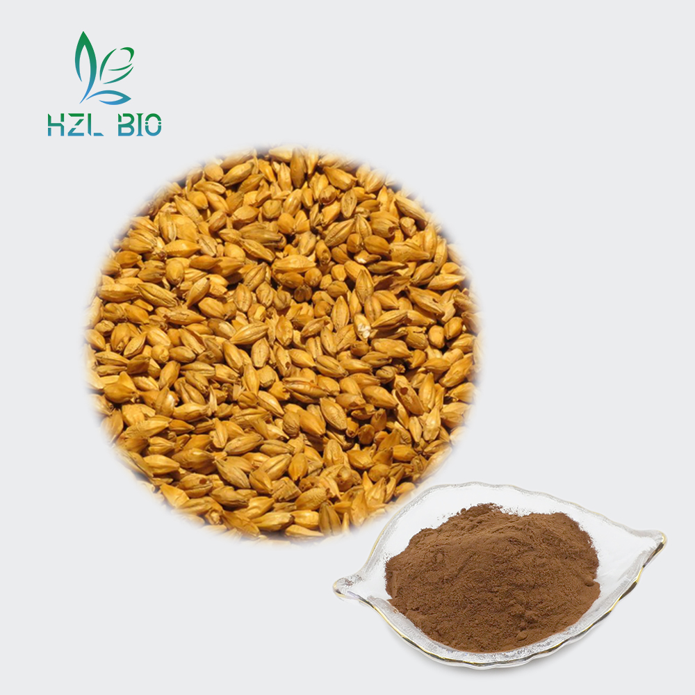 malt extract,dry malt extract,malted barley extract