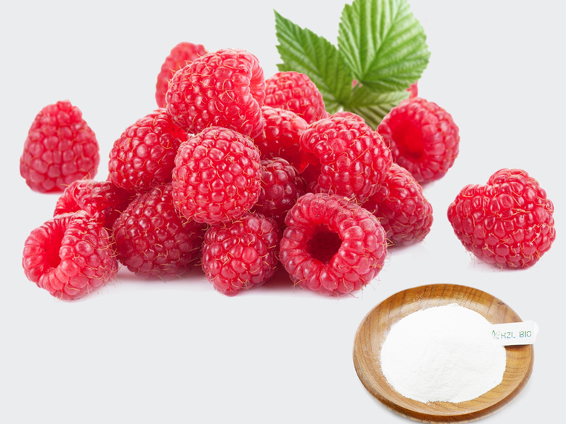 What Are the Benefits of Raspberry Extract