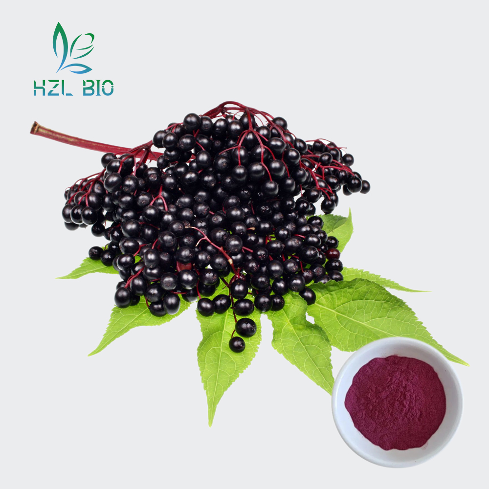Organic Elderberry Powder