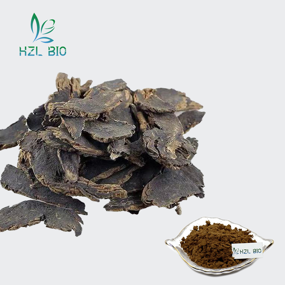 radix scrophulariae,figwort root