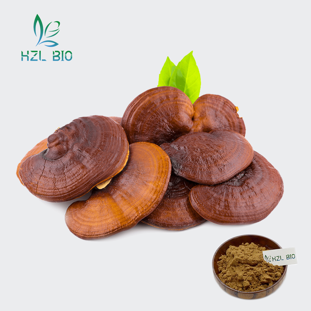 reishi mushroom extract,reishi mushroom supplement,reishi extract
