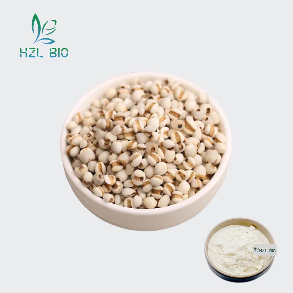 Coix Seed Powder
