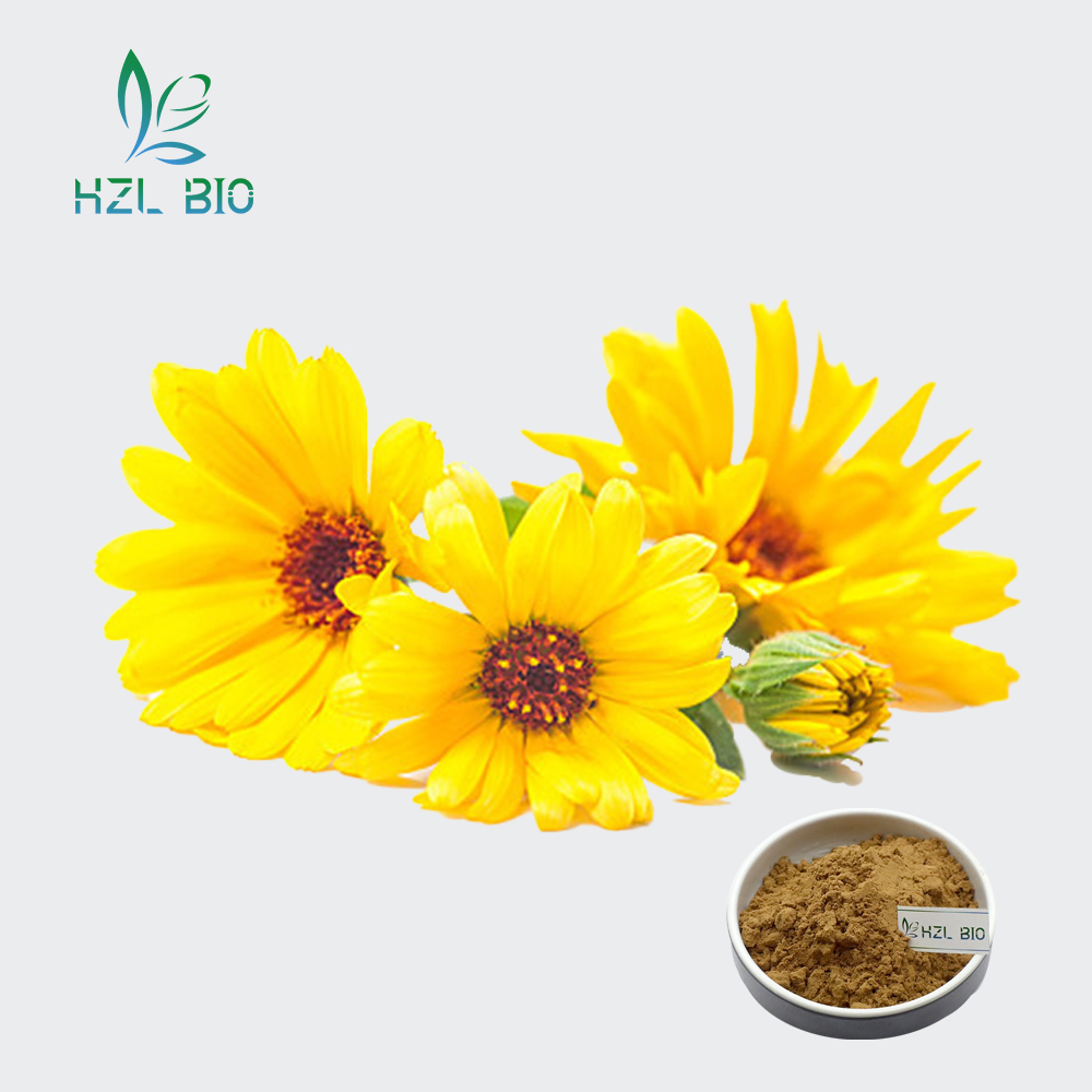 Calendula Extract Powder