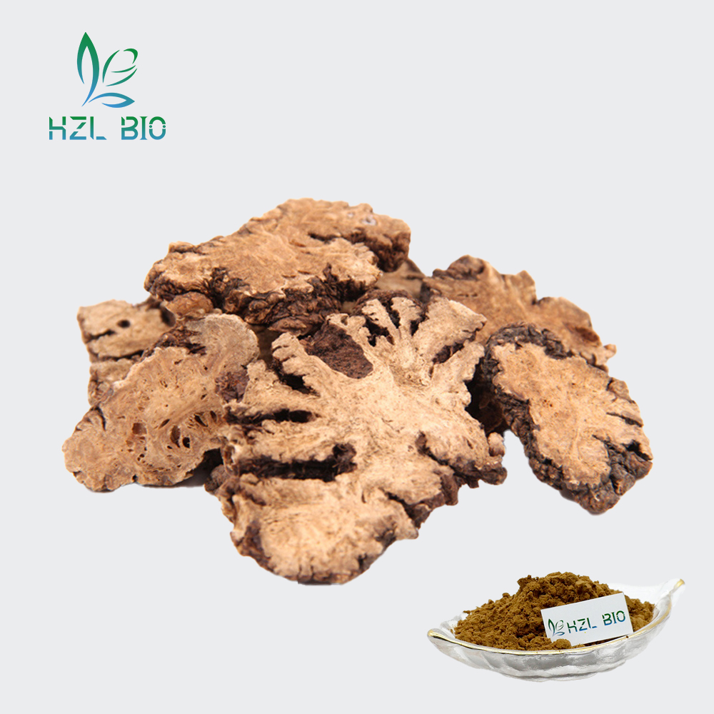 Chuan Xiong Extract