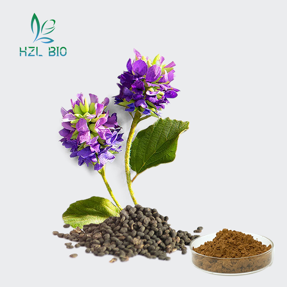 Psoralea Corylifolia Extract