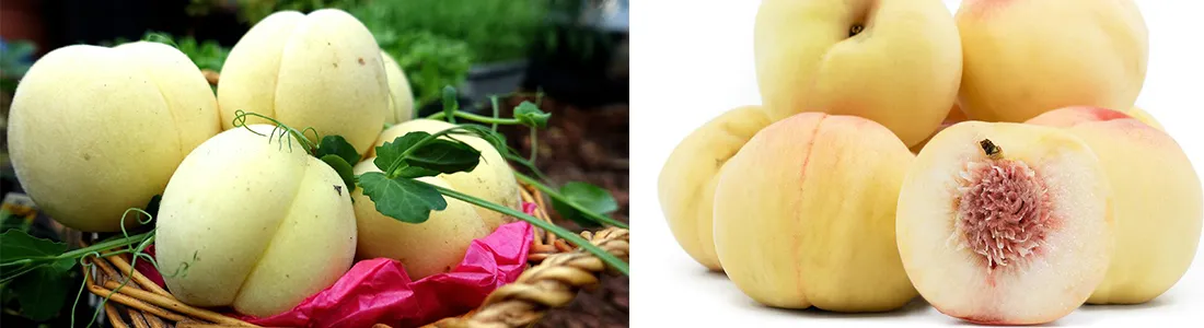 white peach,peach powder,freeze dried peach powder