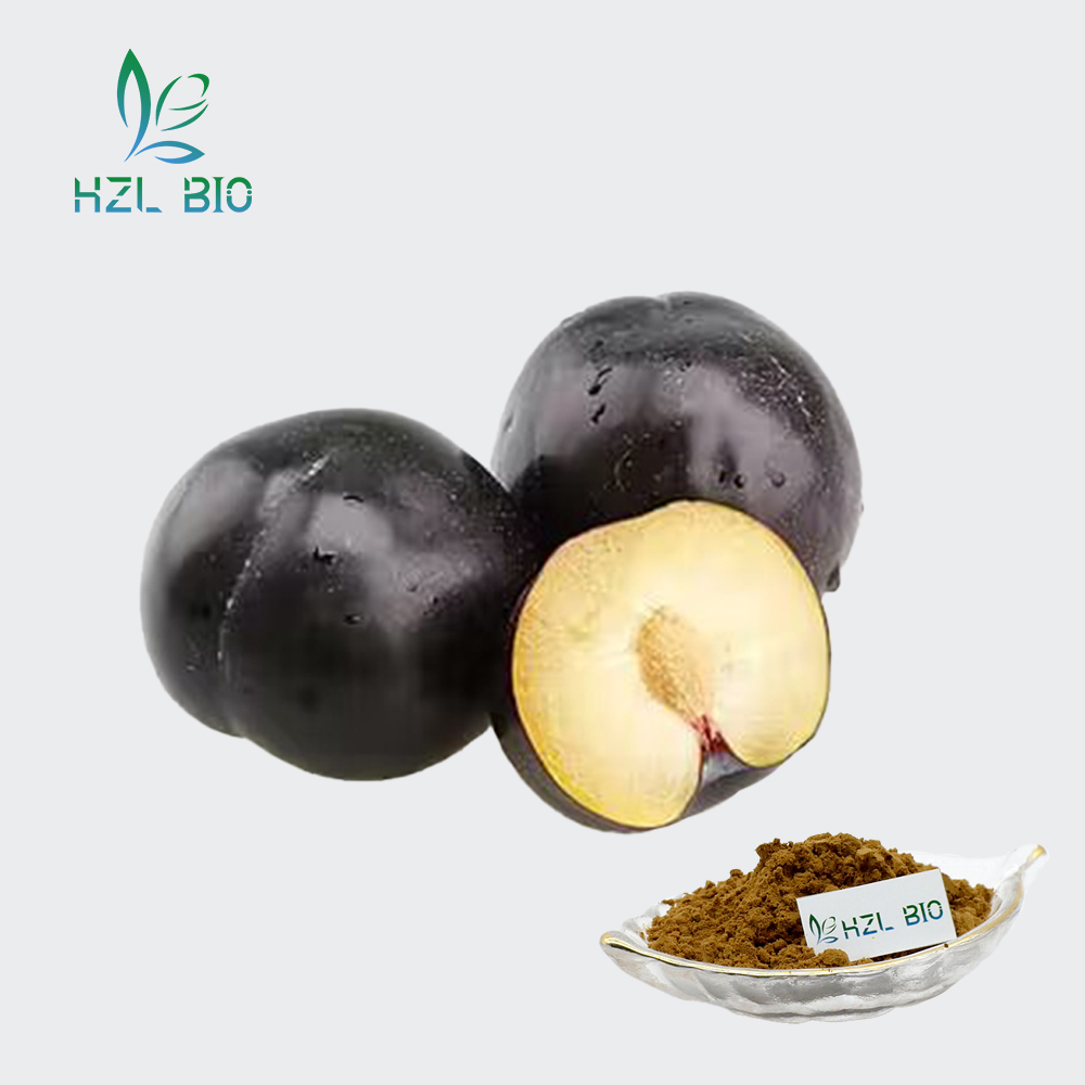Black Plum Fruit Powder