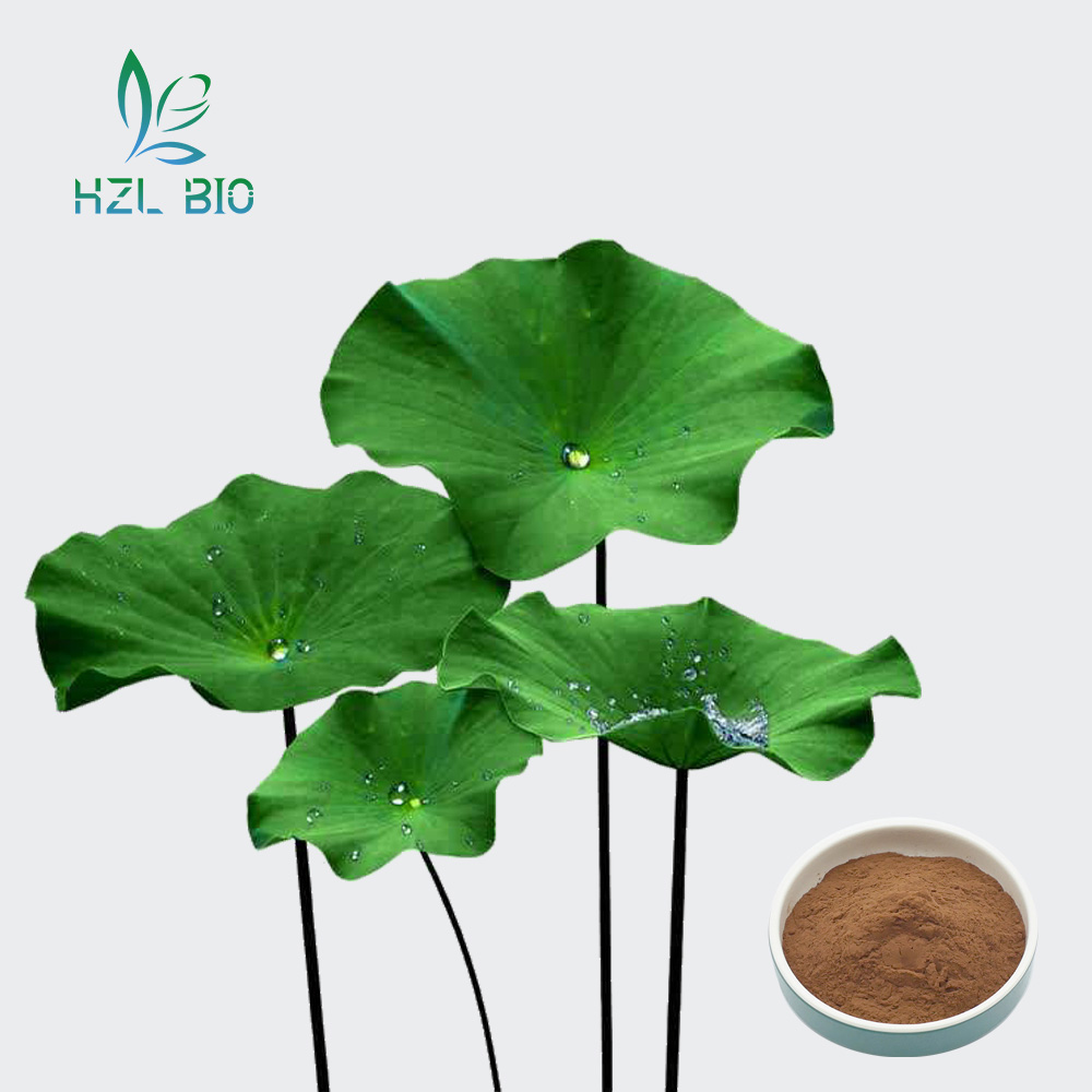 lotus leaf extract,lotus leaf powder,lotus leaf