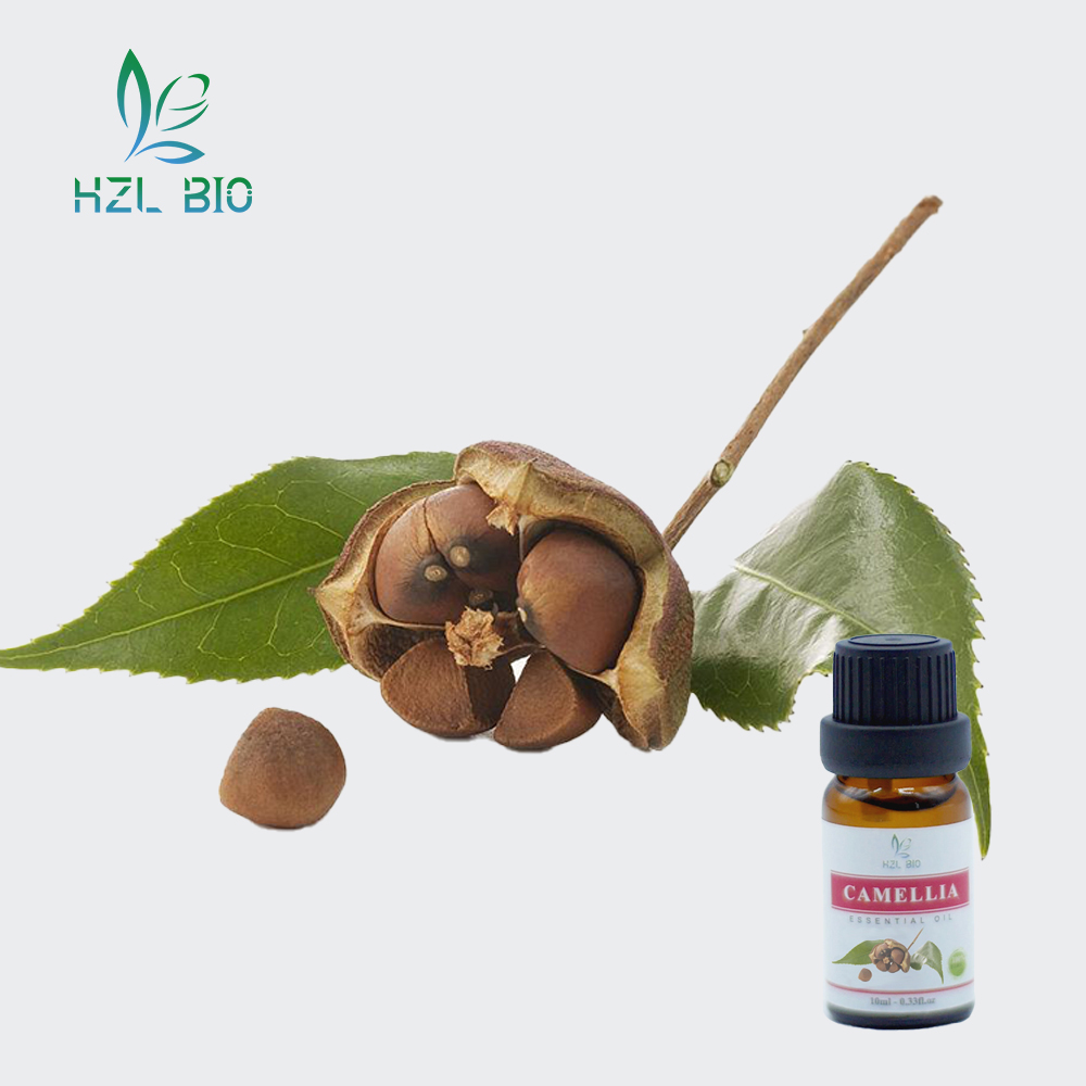 camellia seed oil,camellia oil,camellia oil for hair