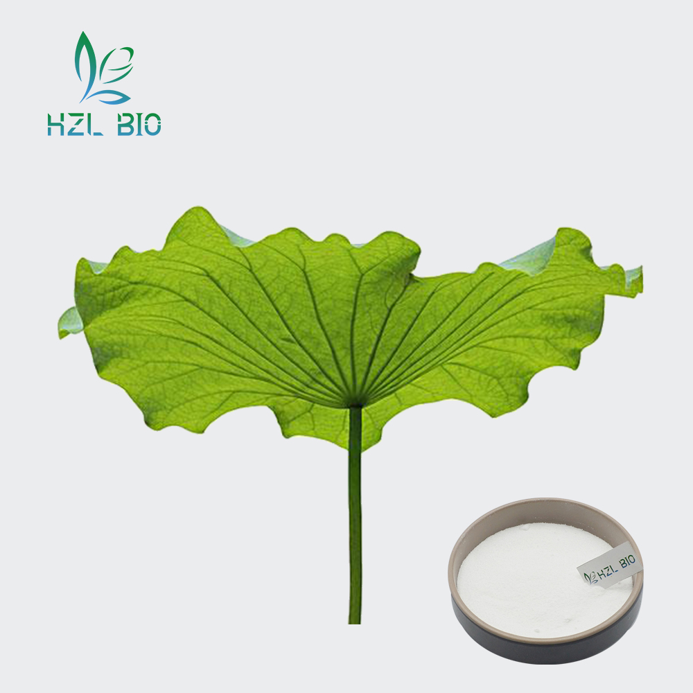 lotus leaf extract,lotus leaf,nuciferine