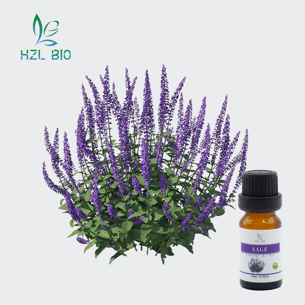 Sage Essential Oil, Dalmatian Sage Oil