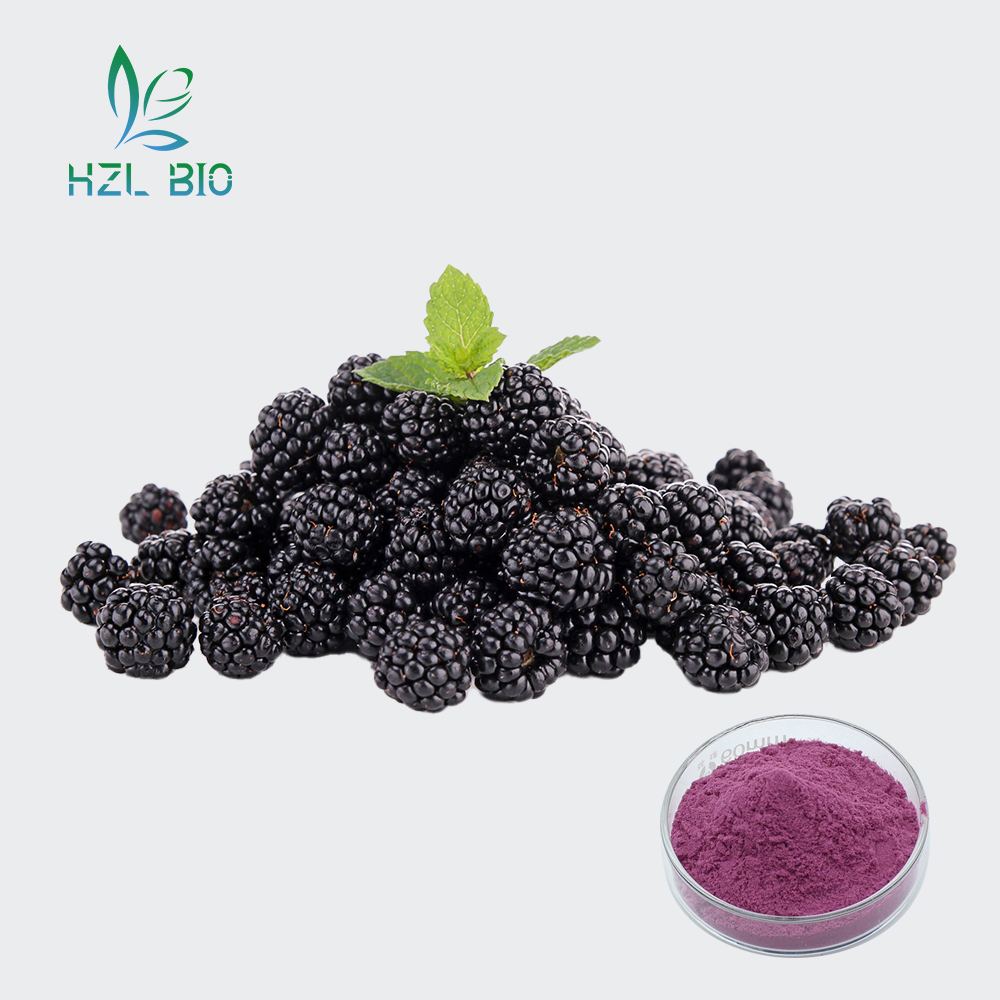 Mulberry Fruit Powder, mulberry powder for skin