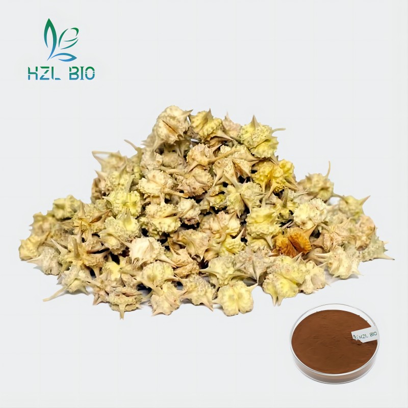 Tribulus Terrestris Extract
