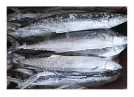 Meat Thawing Machine