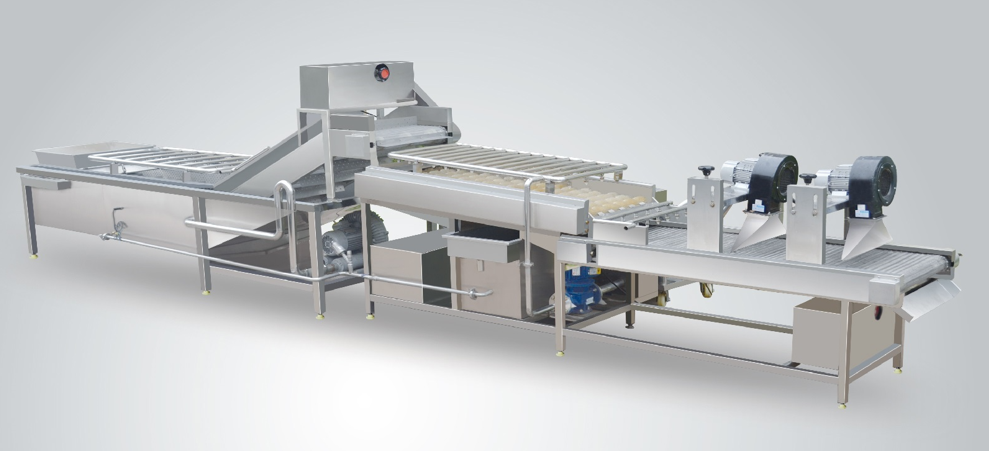 Roller Cleaning And Air Drying Machine,fruit and vegetable wash