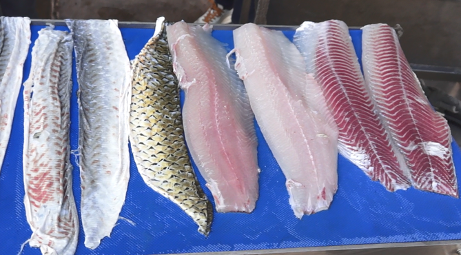 Fish Skinner/Fish Skin Remover