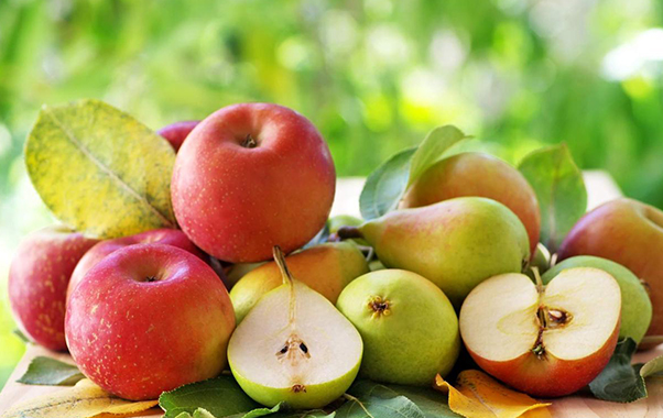 Leafy Greens Exporter, Yanhe