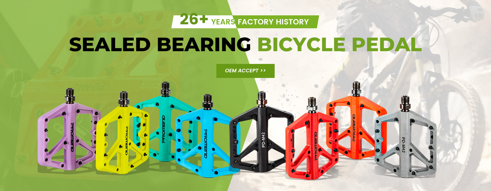 Find the Perfect Bike Seat for Ultimate Comfort