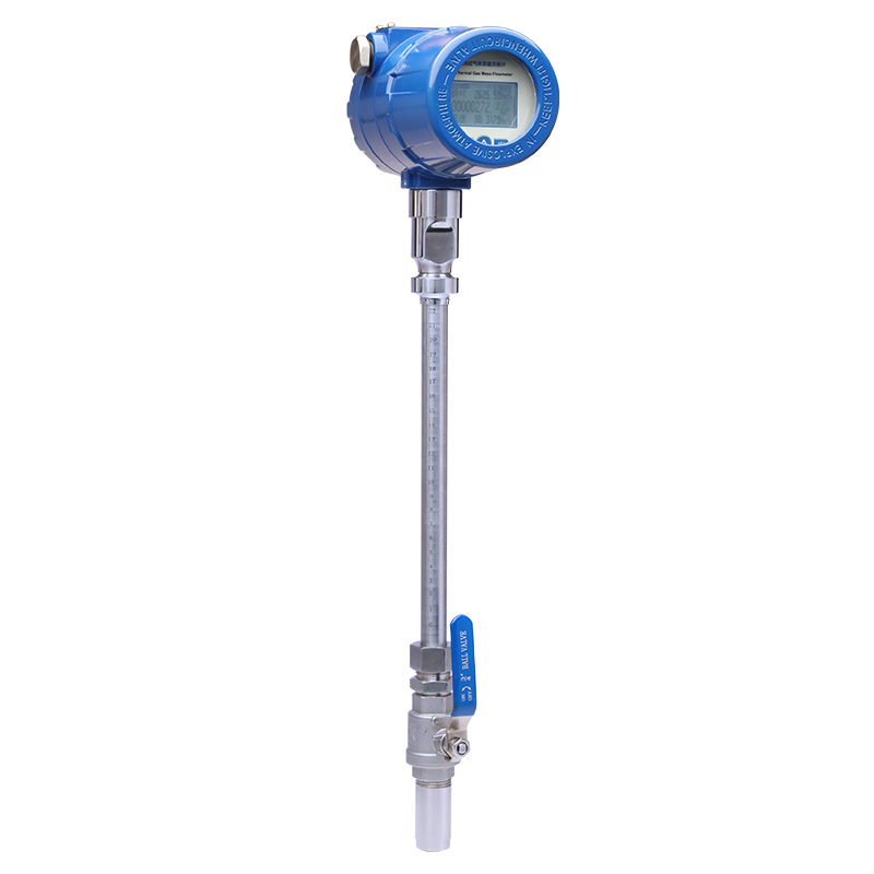 Manufacturer of thermal gas mass flow meter