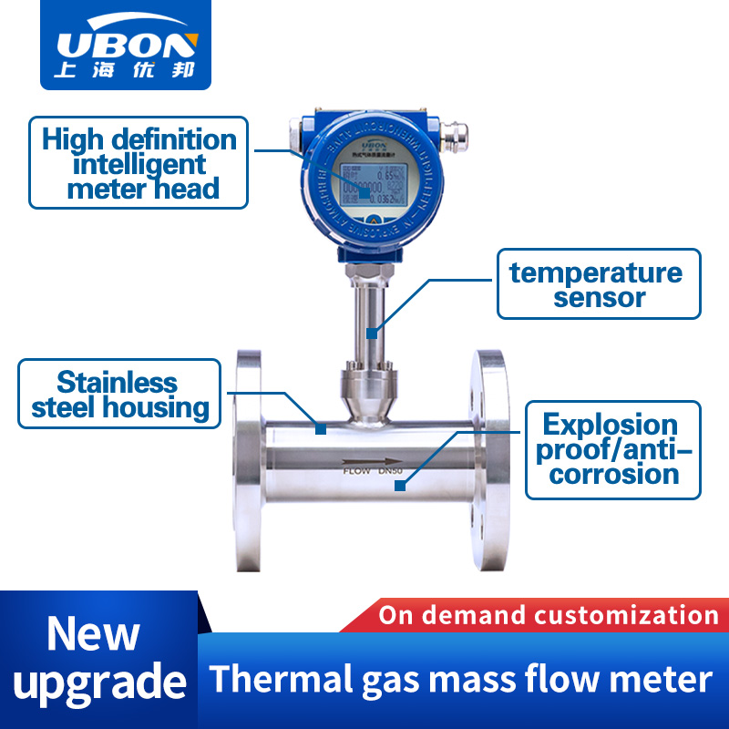 Manufacturer of thermal gas mass flow meter