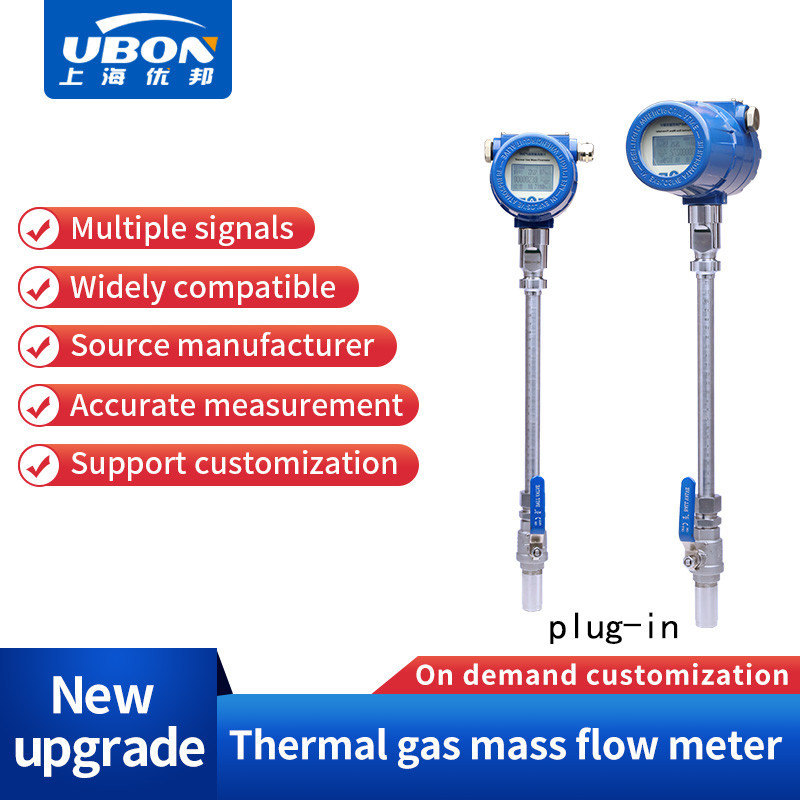Manufacturer of thermal gas mass flow meter