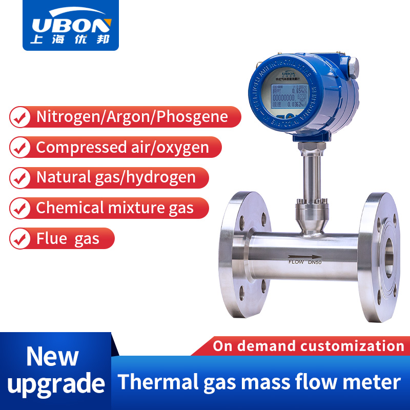 Manufacturer of thermal gas mass flow meter