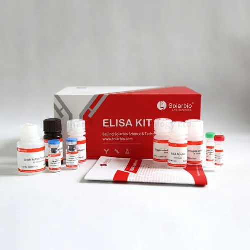 Genomic DNA Extraction Kit for Animal Tissues & Cells | TSKT
