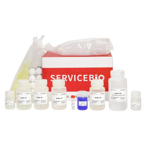 Plasmid,plasmidsaurus,plasmid vector,